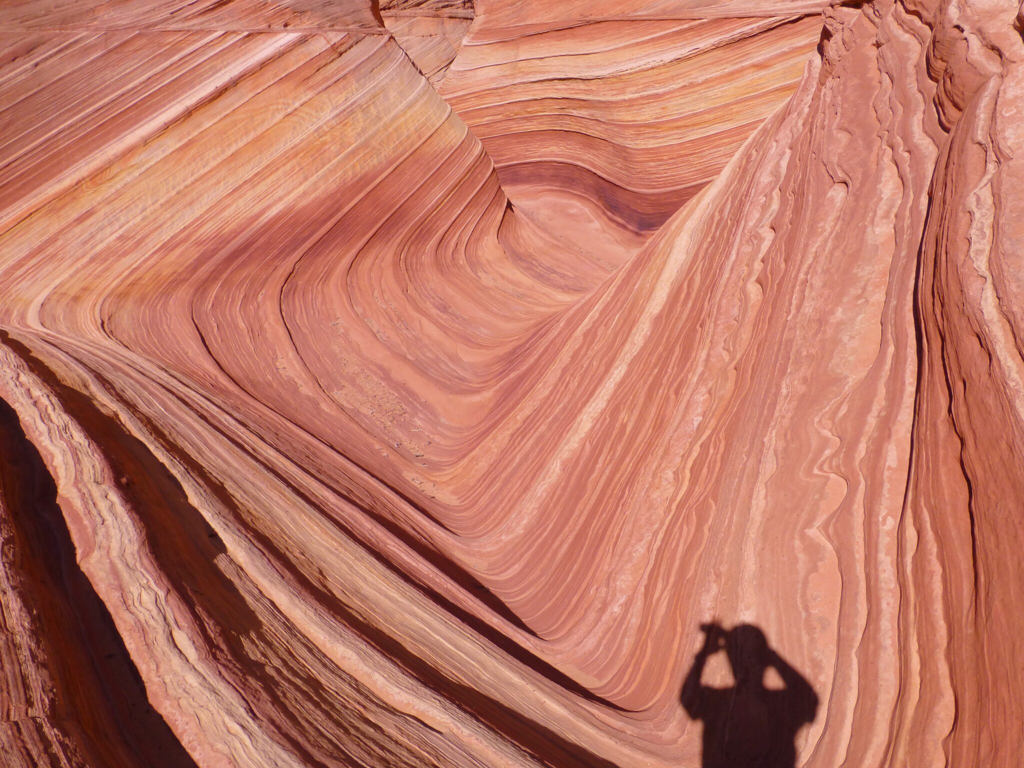 アメリカ大陸最後の秘境「The Wave」 | アメリカンアウトドアクラブ -aoc-